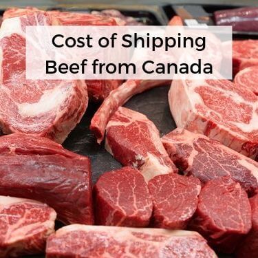 Shipping Beef From Canada | Canada Cross Border Freight
