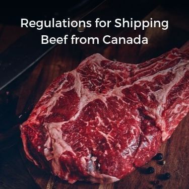 Shipping Beef From Canada | Canada Cross Border Freight